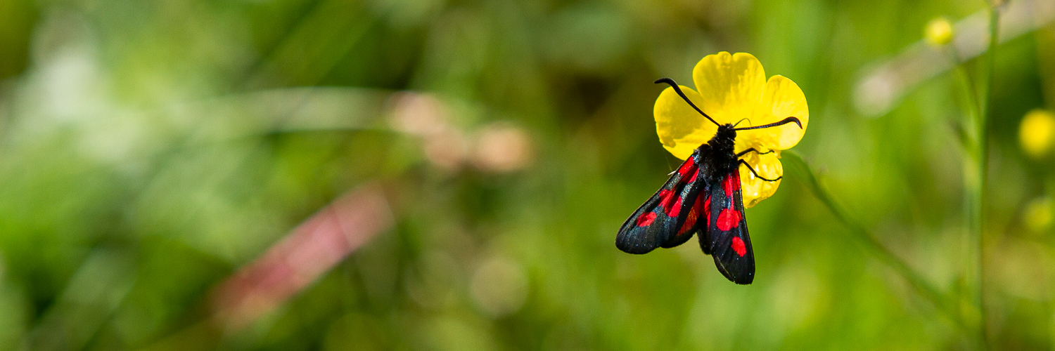 Thomas Friis Poulsen :verified: :donor: (@Ghostjump@infosec.exchange ...