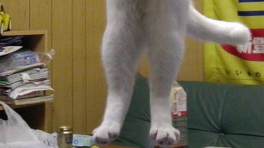 Jay Bosamiya (@jaybosamiya@infosec.exchange) - Infosec Exchange