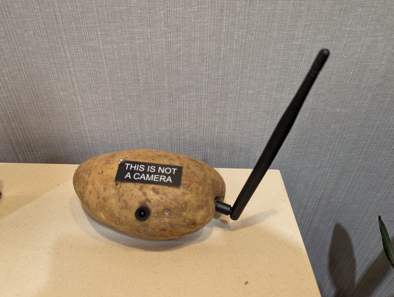 KillrBunn3 (LocalAreaKnitwork) (@KillrBunn3@defcon.social) - DEF CON Social