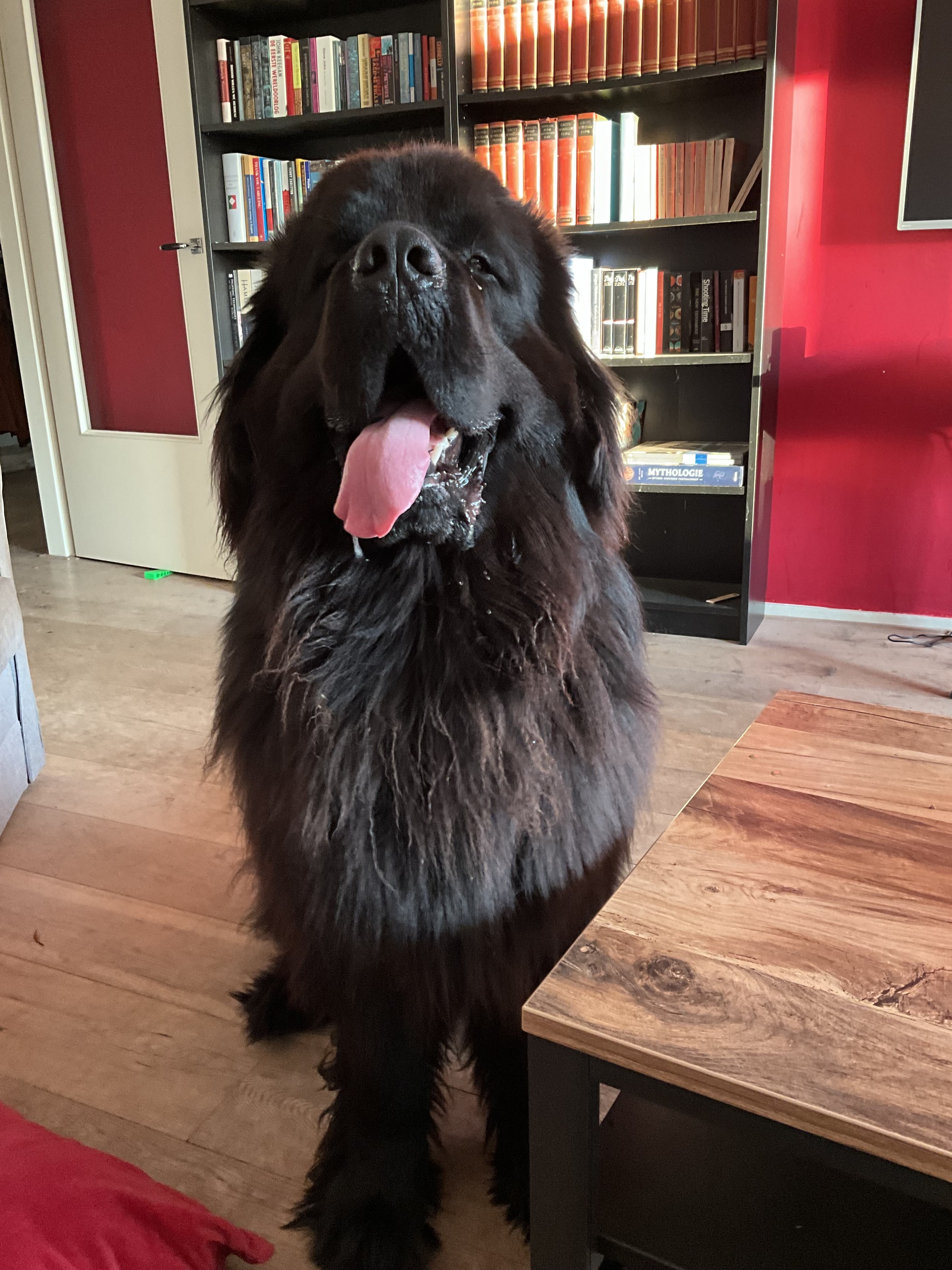 abadidea: "I think the next two weeks of me being out of the…" - Infosec Exchange